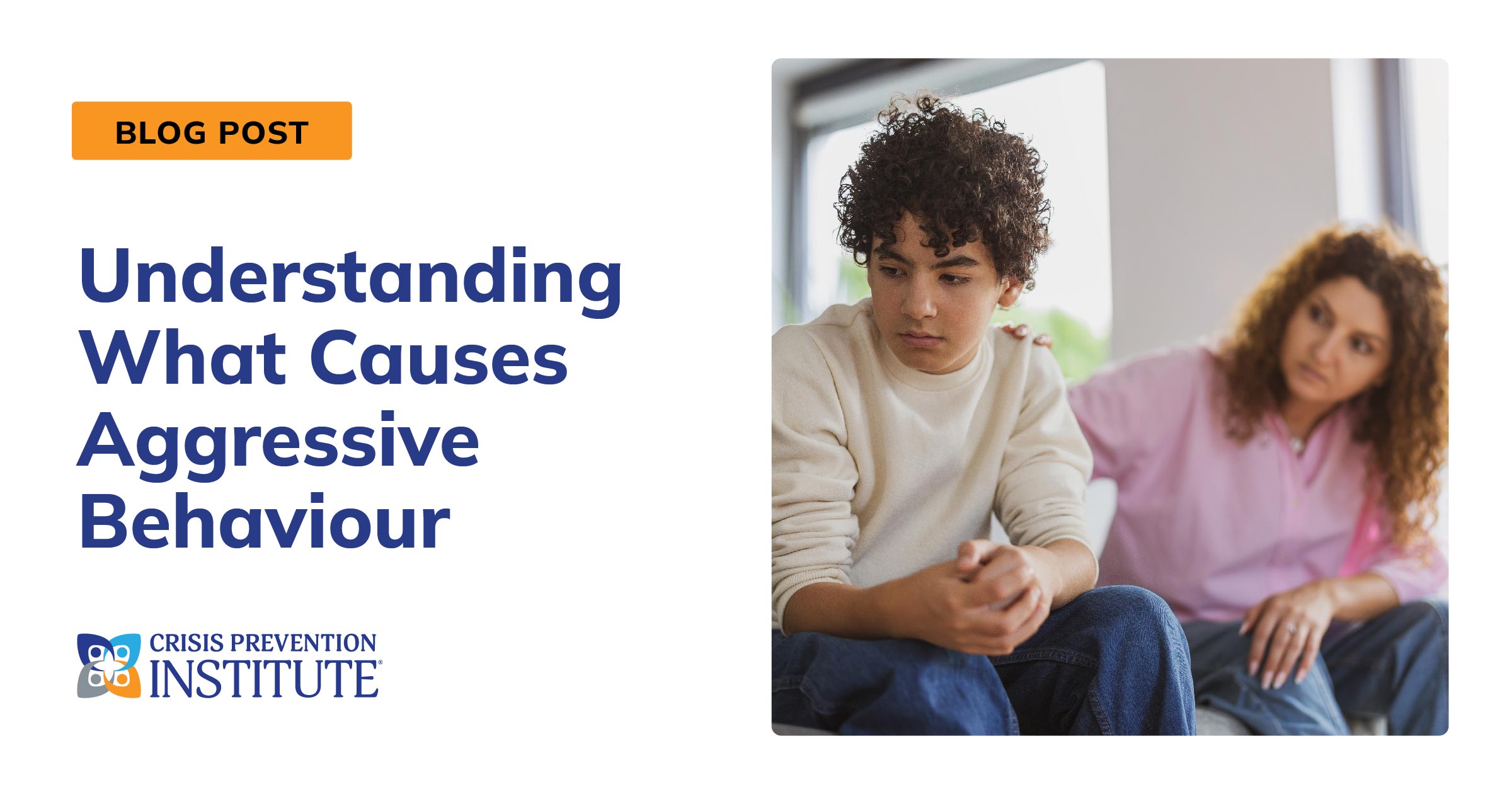 Understanding What Causes Aggressive Behaviour | Crisis Prevention ...