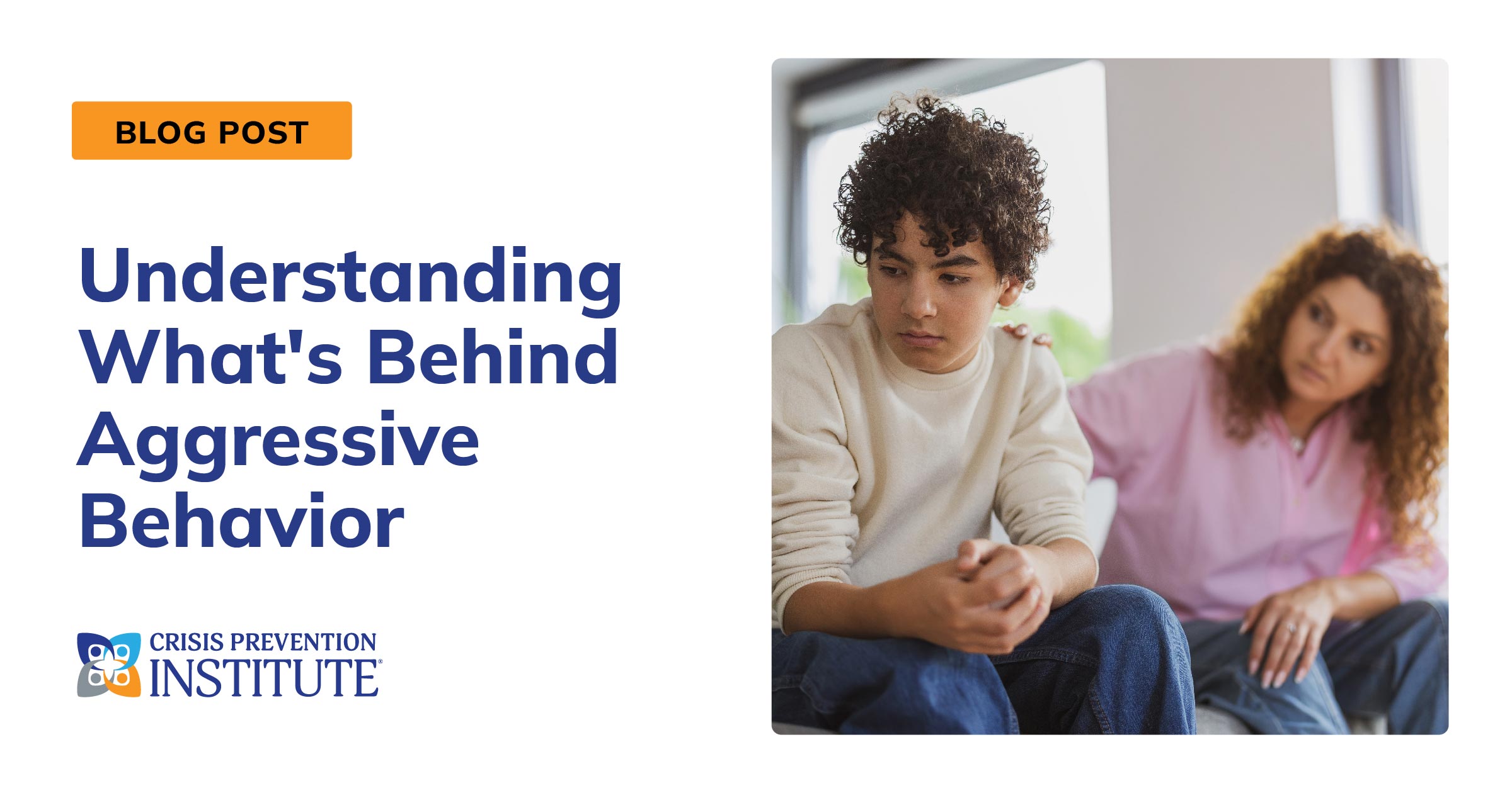 Understanding What's Behind Aggressive Behavior | Crisis Prevention ...