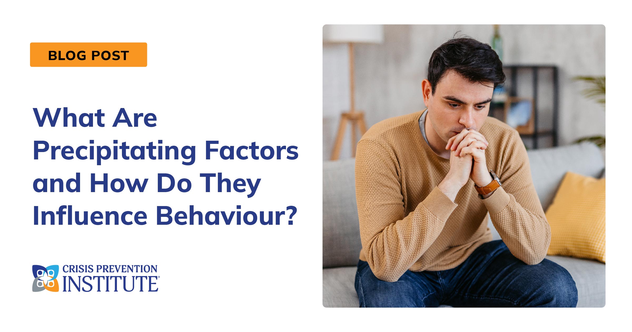 What Are Precipitating Factors and How Do They Influence Behaviour ...